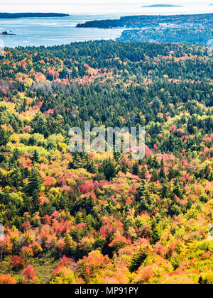 fall color trees acadia np maine Stock Photo - Alamy