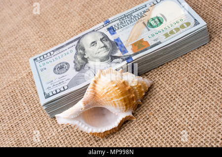 Sea shell placed on bundle of US dollar banknotes Stock Photo - Alamy