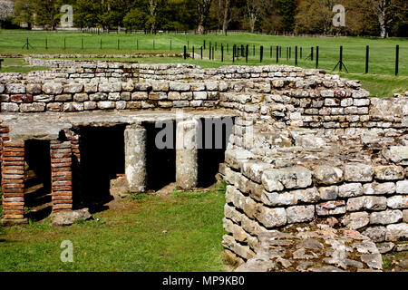 The Commandant's House at Chester Roman Fort near Hadrian's Wall Stock ...
