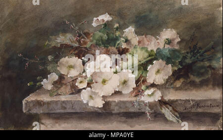 Margaretha Roosenboom Zweige weißer Malven auf einem Steintisch Stock ...
