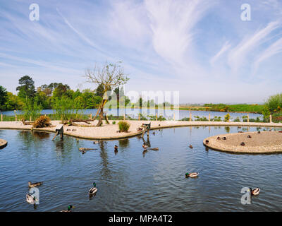 Sunny spring countryside,Northern Ireland Stock Photo - Alamy