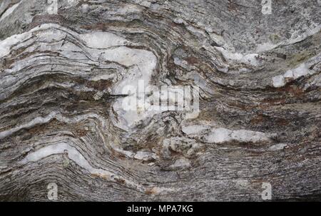 Migmatite, High Grade Metamorphic Rock. Natural Background. Cove Bay ...