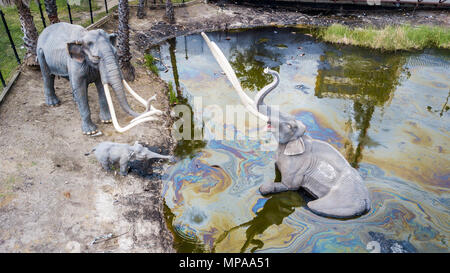 La Brea tar pits, Los Angeles, California Stock Photo - Alamy