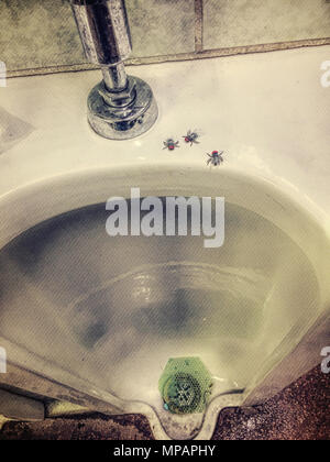 Flies on Urinal Stock Photo - Alamy
