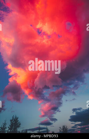 Beautiful shot of fluffy pink clouds in the sky Stock Photo - Alamy