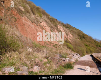 Axmouth-Lyme regis Undercliffs, National Nature reserve, Devon, April ...