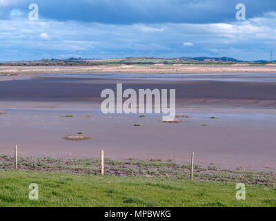 Steart Marshes, WWT reserve, Somerset, April 2018 Stock Photo - Alamy