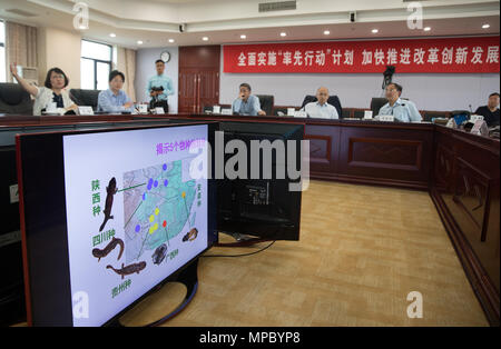 Che Jing, a researcher from the Kunming Institute of Zoology, Chinese ...