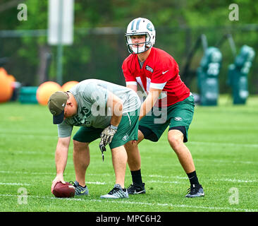 New York Jets quarterback Sam Darnold (14) looks to throw a pass ...
