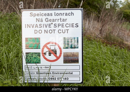 roadside warning sign do not cut invasive plant species county leitrim ...