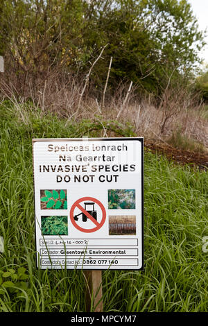 roadside warning sign do not cut invasive plant species county leitrim ...