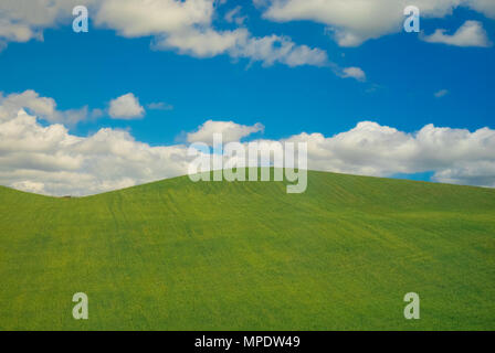 Puglia (Italy) - Wind farm landscape with wind turbines and expanses of ...