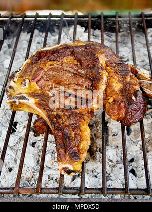 Spanish beef Chuleton, also known as Bone-in Ribeye steak, Cowboy steak ...