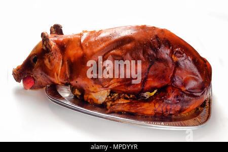 suckling pig roasted in the oven on a white background Stock Photo - Alamy