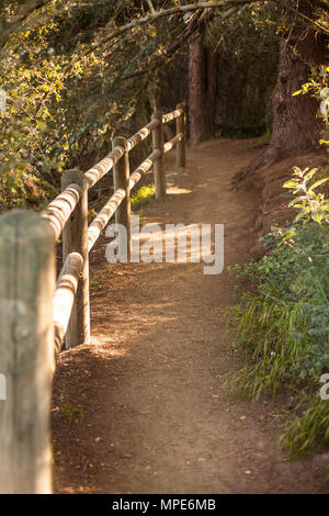 Peaceful Franklin Canyon hike in Beverly Hills, California. The park ...