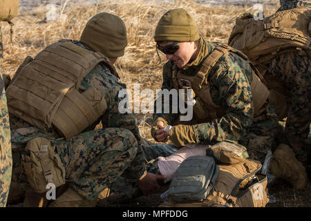 U.S. Navy HM2 (FMF) Charla Watson, a hospital corpsman with Alpha ...