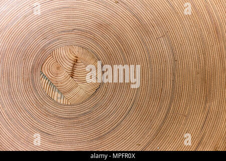 Round table of flexible plywood rolled into a roll Stock Photo - Alamy