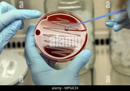 Max Planck Institute for Infection Biology. Eduard Henoch-Haus on ...