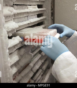 Max Planck Institute for Infection Biology. Eduard Henoch-Haus on ...