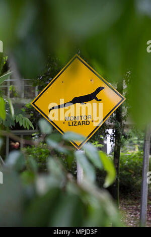 Sign boards warning of monitor lizards on the golf course in an ...