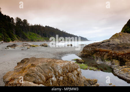 Tidepools on the Olympic Coast of Washington Stock Photo - Alamy