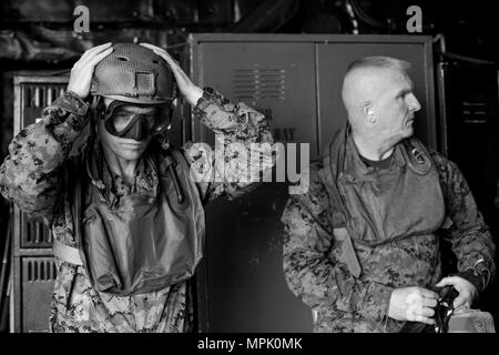 Col. Tye R. Wallace, left, Lt. Gen. Lawrence Nicholson, center, and U.S ...