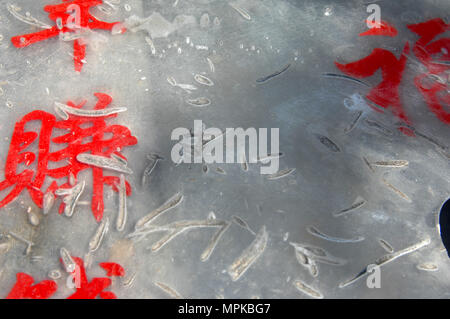 Chinese lettering in frozen pool, A-Ma Temple, Coloane Island, Macau ...