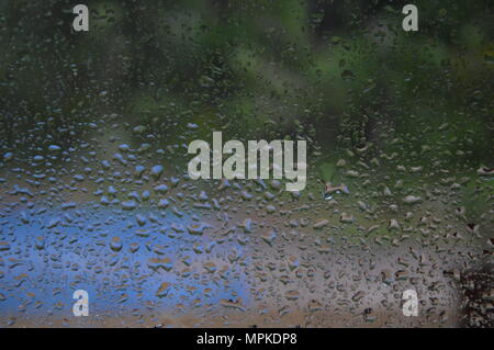 Rain drops on the window with forest background Stock Photo - Alamy