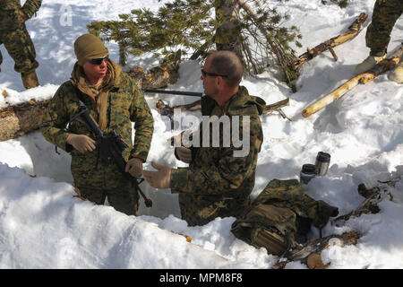 Lt. Col. Christopher Haar, Battalion Commander of 1st Combat Engineer ...