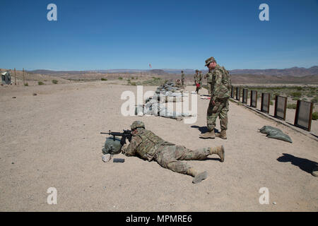 Soldiers from the Army's 2916th Aviation Battalion and 916th ...