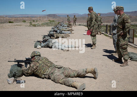 Soldiers from the Army's 2916th Aviation Battalion and 916th ...