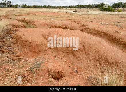 Deeply eroded red soil, Almaden, Far North Queensland, FNQ, QLD ...