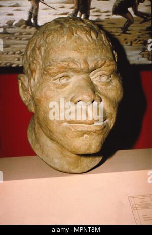 Reconstruction Of A Neanderthal Man Stock Photo - Alamy
