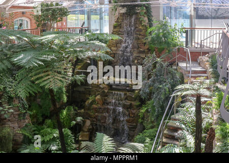 The interior of the Tropical Ravine in Botanic Gardens, Belfast ...
