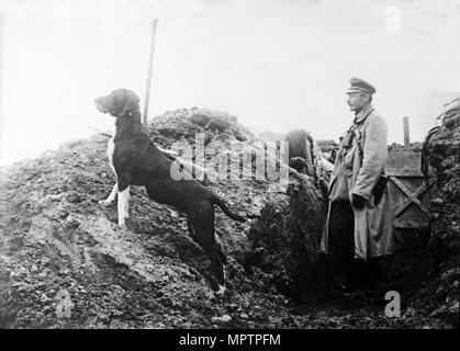 German soldier with his dog, WW1 Stock Photo - Alamy