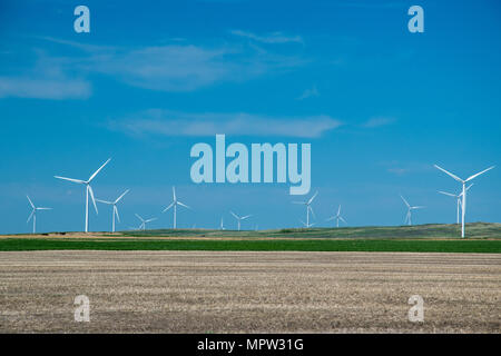 Wind turbines in a field, Blackspring Ridge Wind Project by EDF EN ...