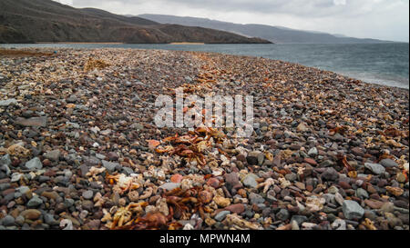 Arta beach of the Tadjoura gulf Djibouti Stock Photo - Alamy