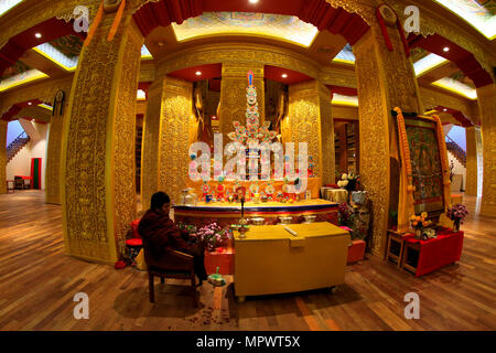 inside view - buddha at Buddhist monastery in Ladakh India Stock Photo ...