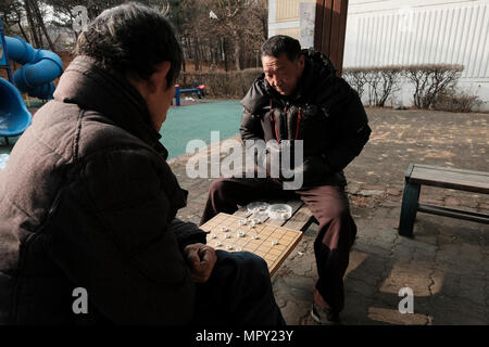 Janggi, sometimes called Korean chess, is a strategy board game popular ...