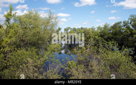 A permanent pond on Travis Air Force Base, Calif., Apr. 20, 2017. A ...