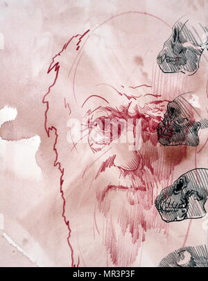 charles darwin portrait art Stock Photo - Alamy