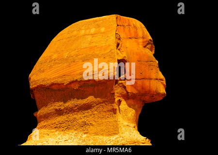 A statue of an ancient lion-sphinx stands in front of a pine tree in ...
