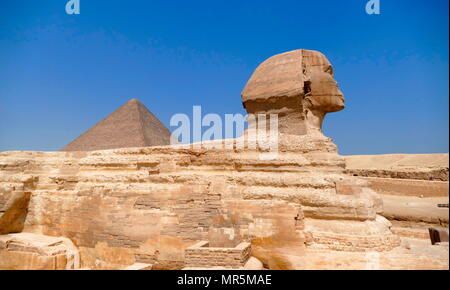 A statue of an ancient lion-sphinx stands in front of a pine tree in ...