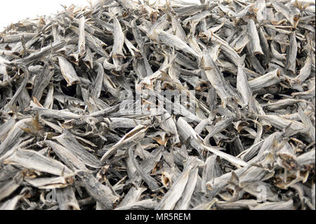 Norway, Troms, Havnnes, Air dried Stockfish cod heads primarily for ...