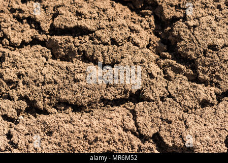 Soil texture.close-up of organic soil for backgrounds.Ground Texture ...