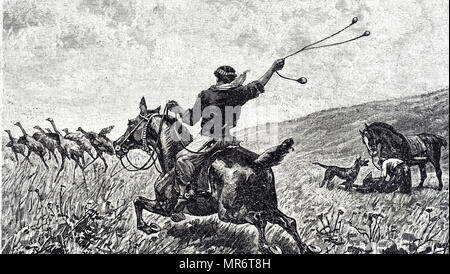Using the bolas to hunt Rhea, South America Stock Photo - Alamy