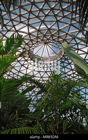 Tropical display dome at the Mt Coot-tha Botanic Gardens, Brisbane ...