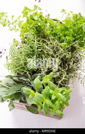 various herbs aromatic in pot on white wooden table with gardening ...