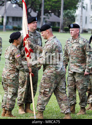 Col. Danielle Ngo, commander of the 130th Engineer Brigade, passes the ...