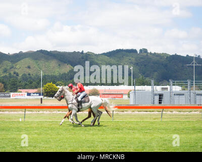 Horse race with two riders horses neck and neck racing to the finish ...